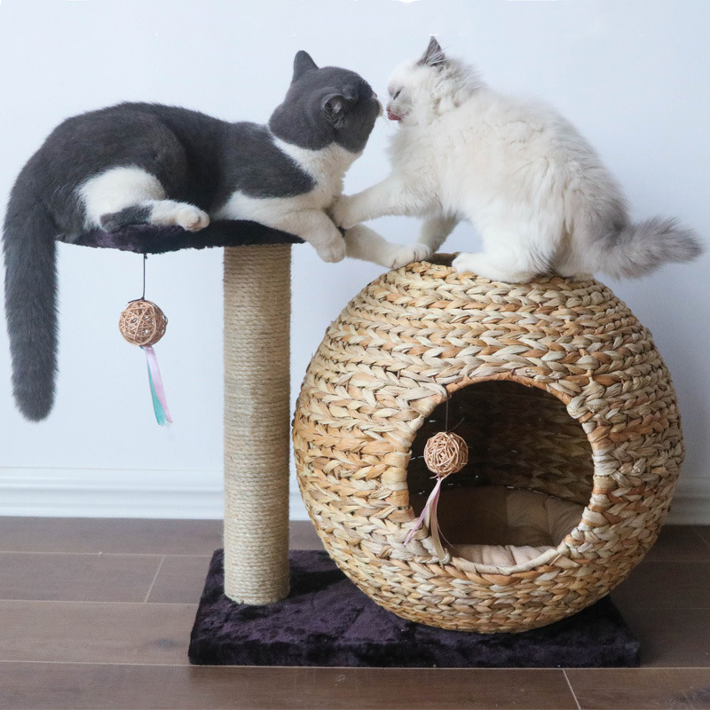 Hand-made Interest Cat Climbing Frame – Wellbaba – Your one-stop pet ...