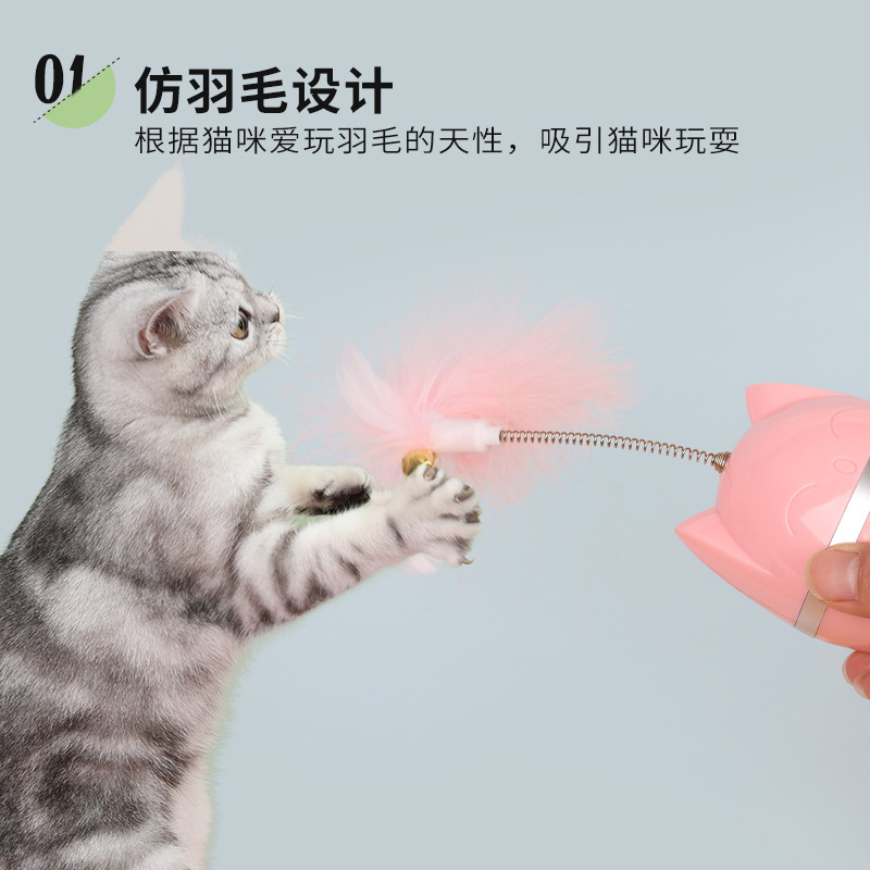 Roly-poly Cat Toy – Wellbaba – Your one-stop pet supply source.